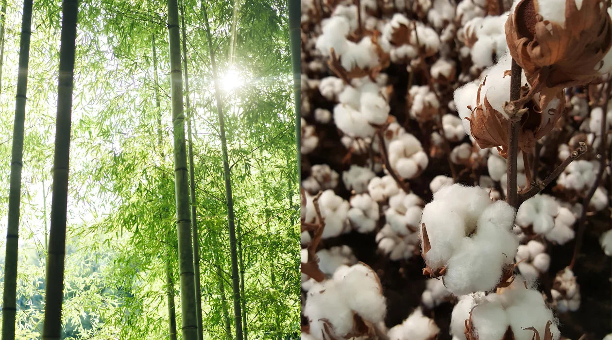 Bamboo Fabric VS Cotton: Which One is Better? – ownkoti
